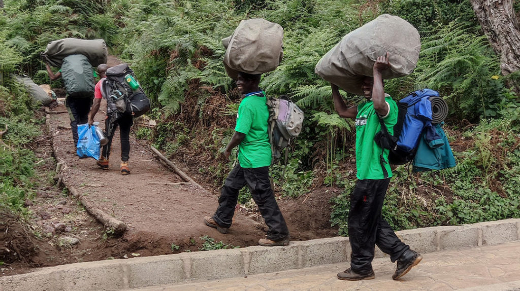 Altitude Adjustment - Mishpacha Magazine