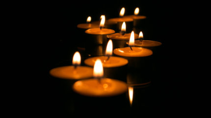 Meet… Elissa Felder - Mishpacha Magazine