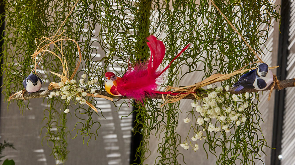 Your Succah Made Special - Mishpacha Magazine