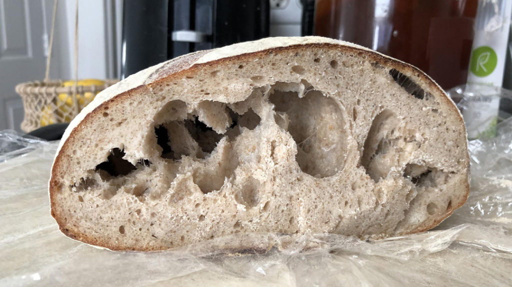 Bread Breakdown - Mishpacha Magazine