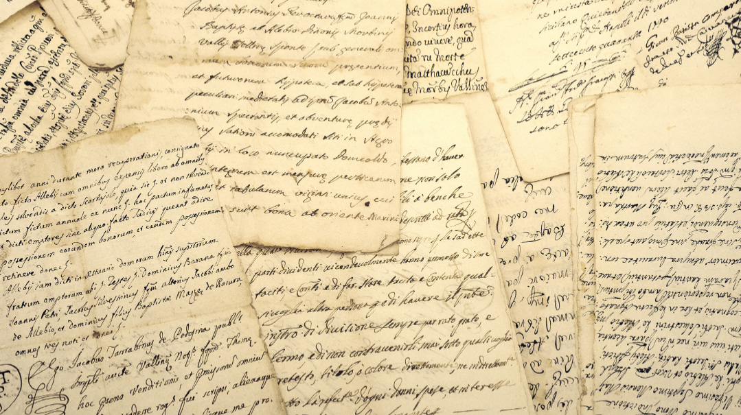 Meet…Michelle Margolis - Mishpacha Magazine