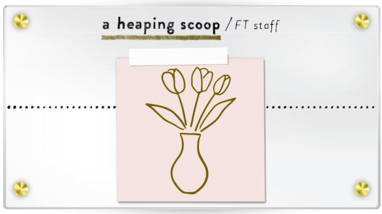 A Heaping Scoop: Beer Bread - Mishpacha Magazine