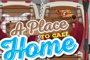 A Place to Call Home - Mishpacha Magazine