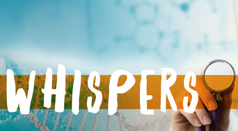 Whispers: Chapter 11 - Mishpacha Magazine