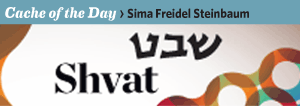 Cache of the Day: Shevat - Mishpacha Magazine