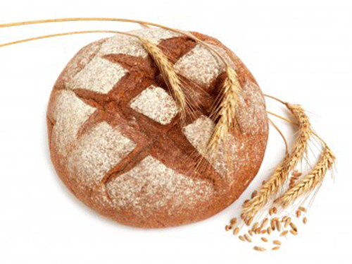 Cast Your Bread - Mishpacha Magazine