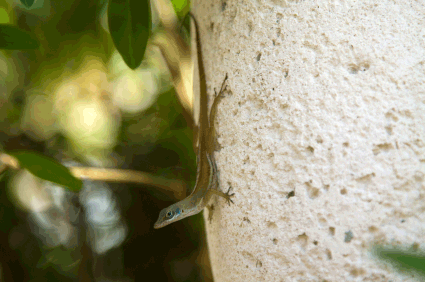 Velcro and Beyond - Mishpacha Magazine