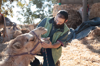 How to Get a Camel to Say “Ahh” and Other Tails - Mishpacha Magazine