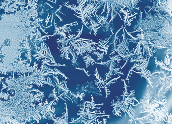 What Is Ice? - Mishpacha Magazine