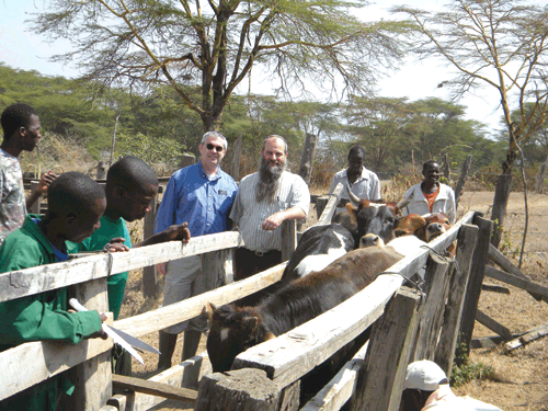 Have Knife - Mishpacha Magazine