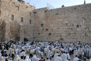 The Richest Arab In Israel - Mishpacha Magazine