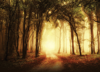 Traveling Light – Mishpacha Magazine